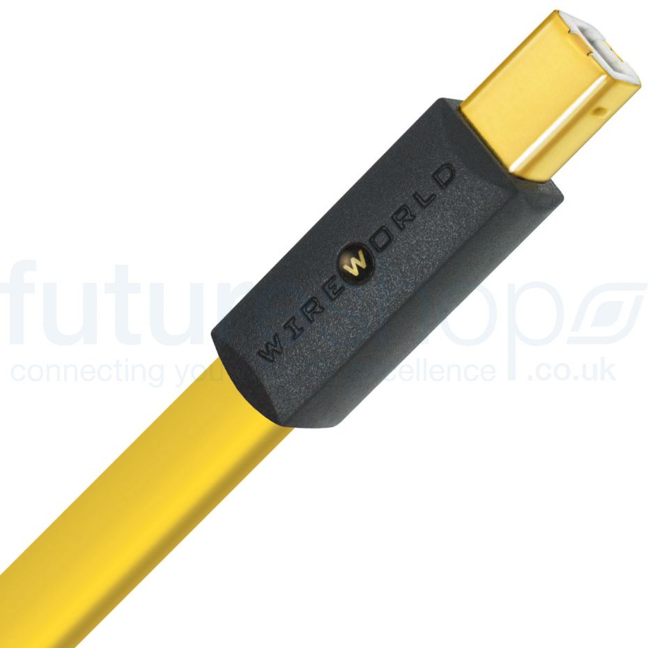 Wireworld Chroma 8 USB 2.0 Digital Audio Cable | Future Shop